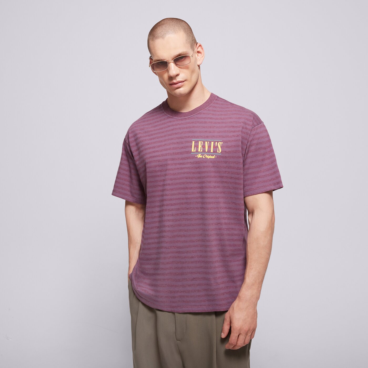 LEVI'S TRIČKO VINTAGE FIT GRAPHIC TEE GREYS 87373-0345 | farba FIALOVÁ ...